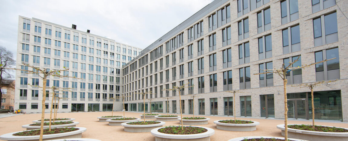 UJEP | Univerzita J. E. Purkyně - Univerzita Jana Evangelisty Purkyně v ...